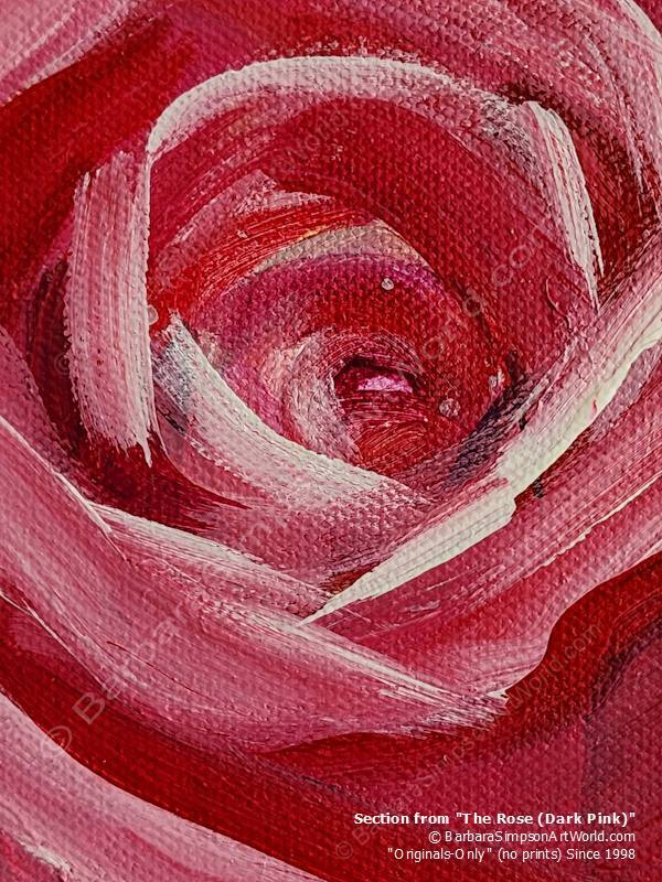 The Rose (Dark Pink) | Barbara Simpson Art World
